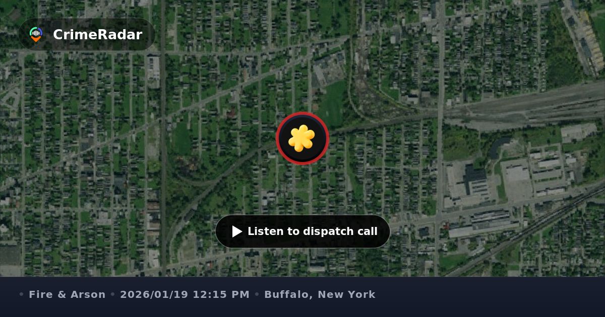 Police address illegal outdoor burning near Swinburne St, Buffalo NY ...