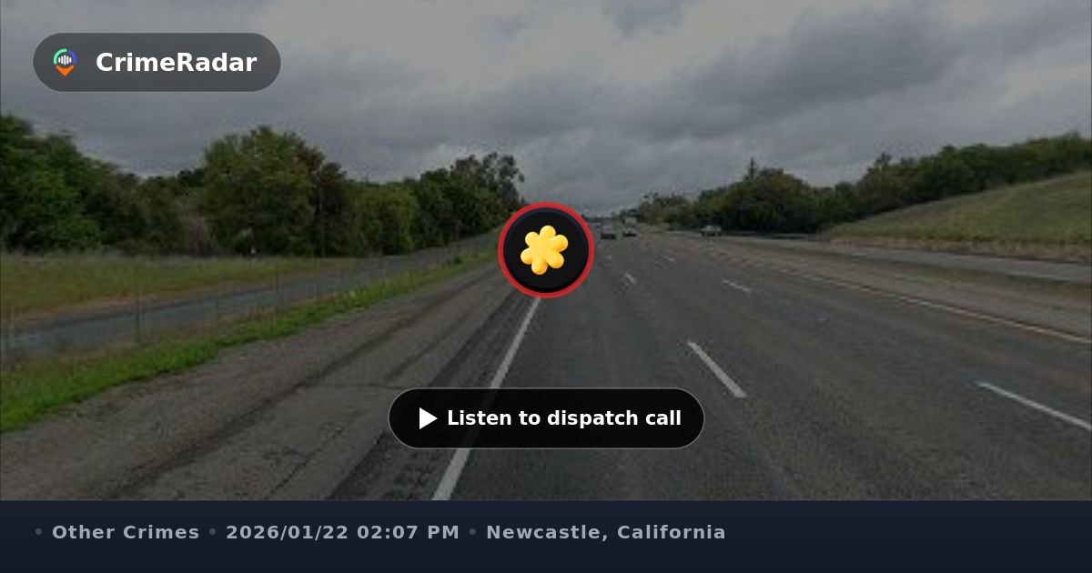 Loose dog spotted along I-80 near Newcastle, Newcastle CA | CrimeRadar
