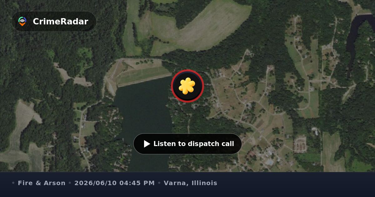 Carbon monoxide alarm after generator use, Varna IL | CrimeRadar