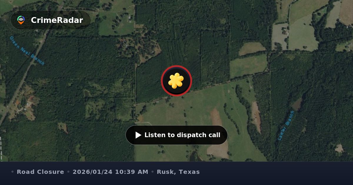 Downed trees and low power line block County Road, Rusk County TX ...