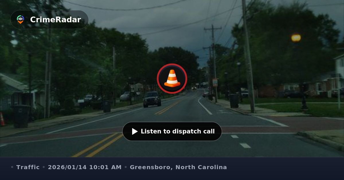 Traffic stop near Martin Luther King Jr Dr and Ross Ave, Greensboro NC ...