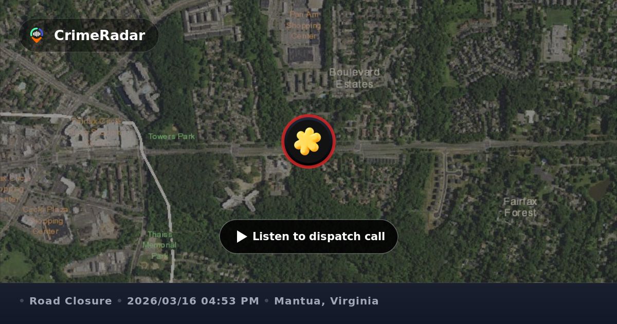 Tree down with wires blocking Glenbrook Road area, Mantua VA | CrimeRadar