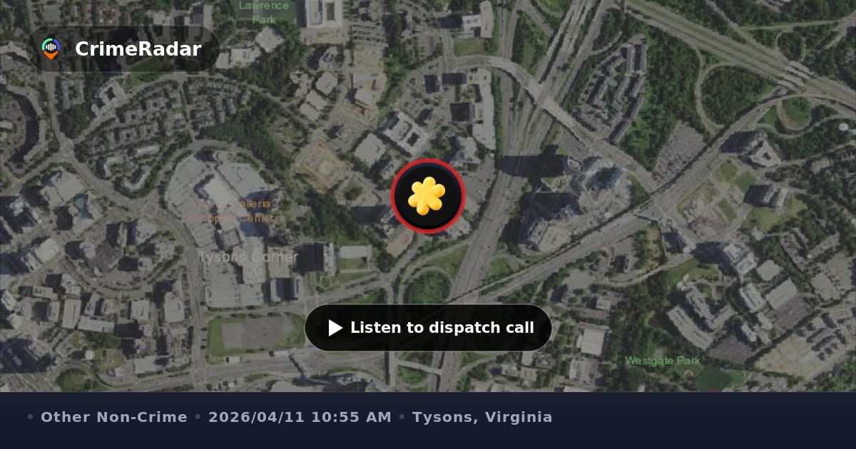 Officer checks on frequent caller at parking garage, Tysons VA | CrimeRadar
