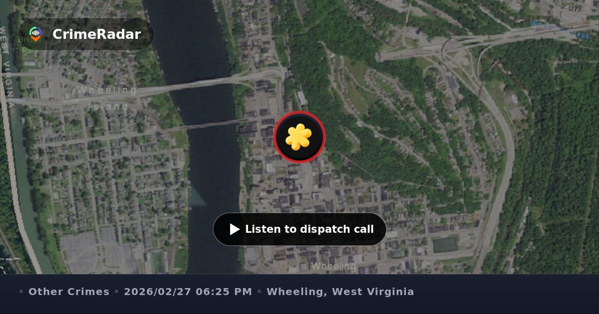 Woman removed and taken into custody on Chapline St, Wheeling WV ...