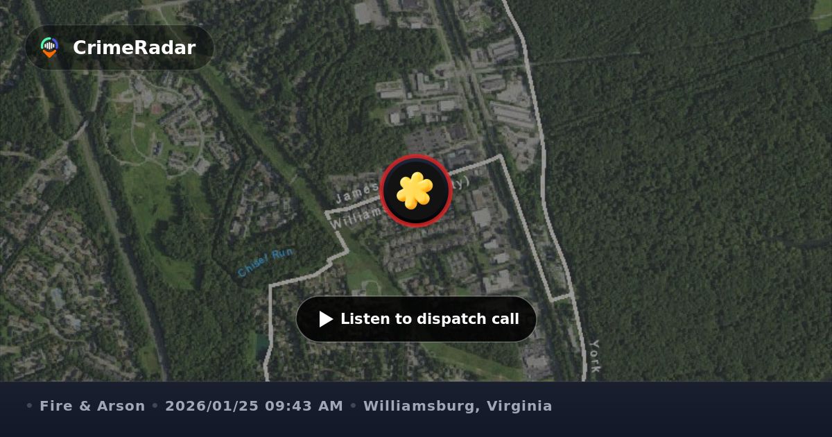 Tree branch on power lines near Captain Newport Circle, Williamsburg VA ...