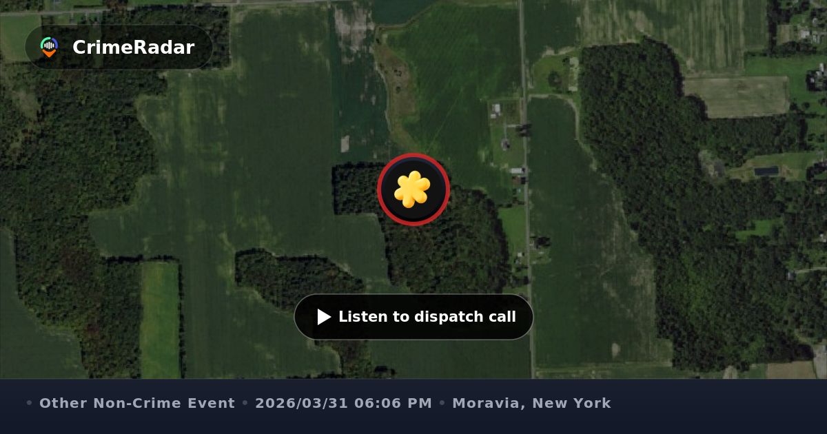 Fire department responds to flooded basement, Moravia NY | CrimeRadar