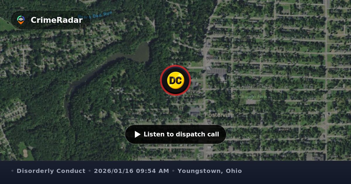 Possible neighbor dispute near Parkview Ave, Youngstown OH | CrimeRadar