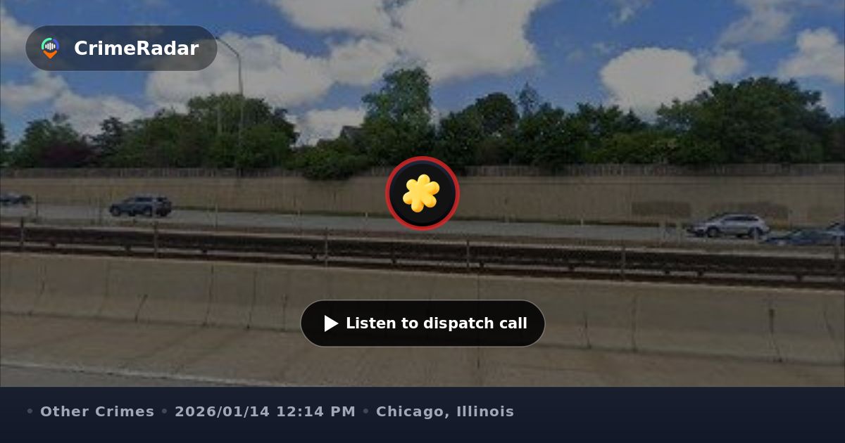 Unauthorized person delays Blue Line service, Chicago IL | CrimeRadar