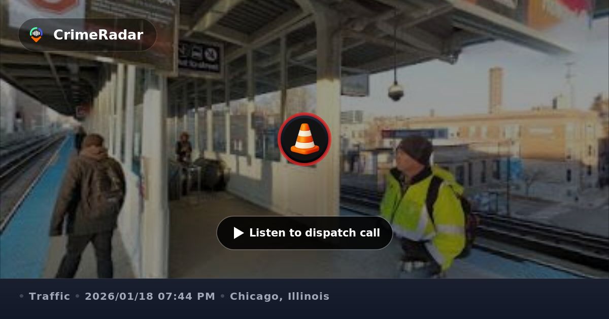 Crowded platform reported at Addison Red Line, Chicago IL | CrimeRadar