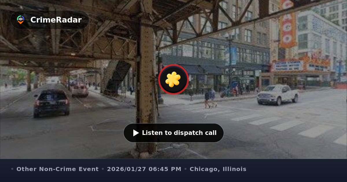 Train halted for emergency near State and Lake, Chicago IL | CrimeRadar