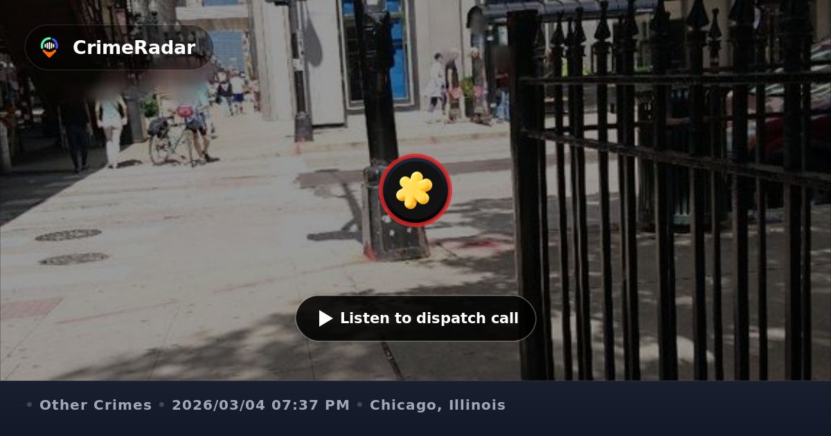 Operator checks train after report of ringing noise, Chicago IL ...