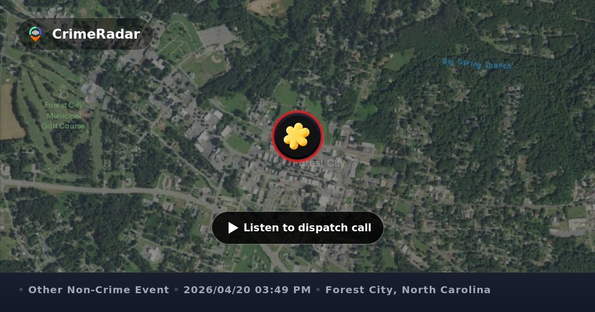Loose dog reported near Park Street dog park, Forest City NC | CrimeRadar