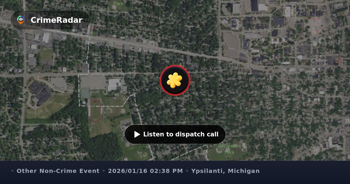 Animal at large near Recreation Park, Ypsilanti MI | CrimeRadar