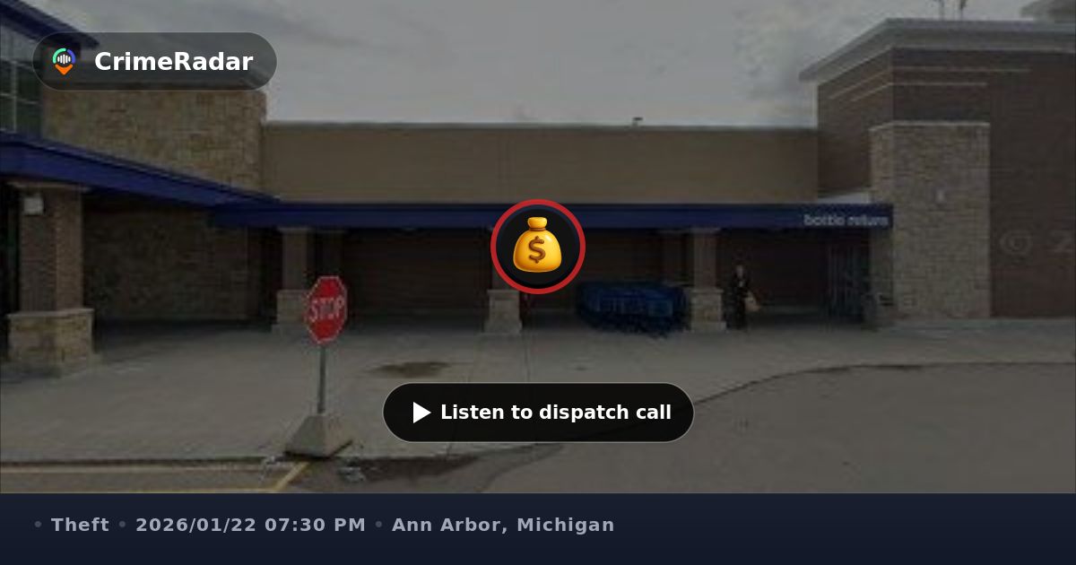 Officers detain two after possible theft near Meijer, Ann Arbor MI ...