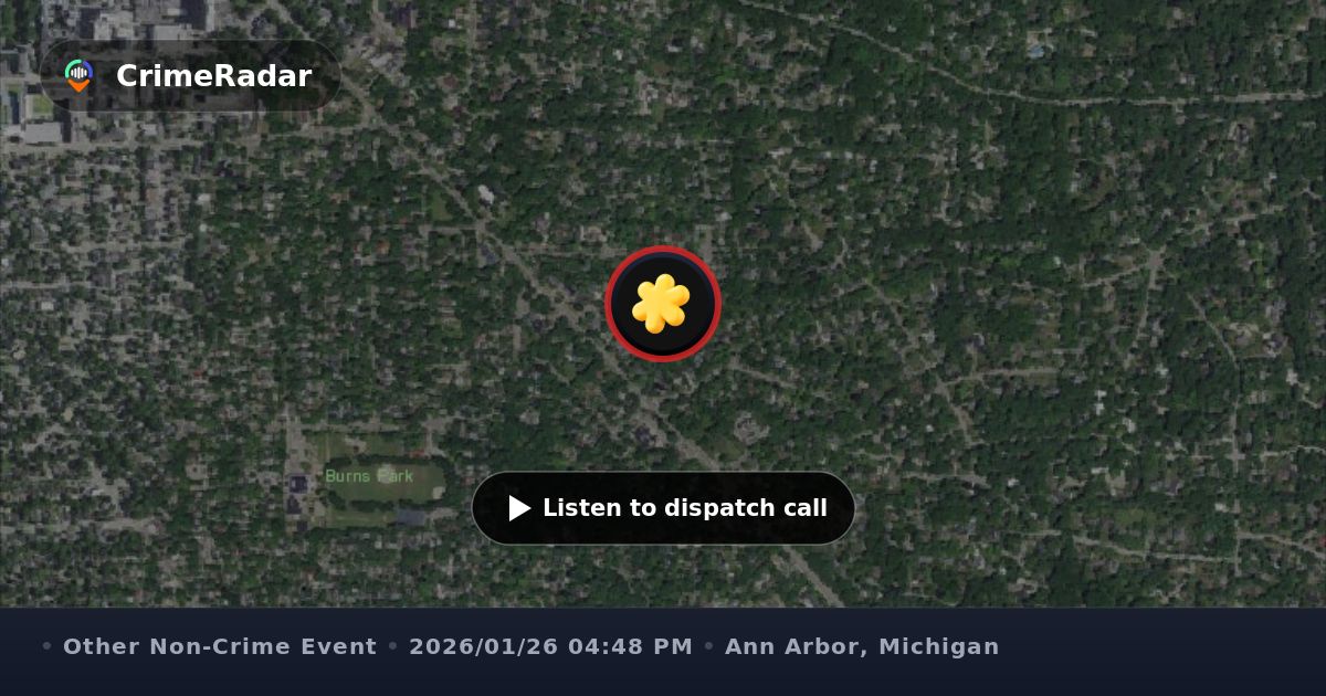 Tree branch hangs low along Morton Ave, Ann Arbor MI | CrimeRadar