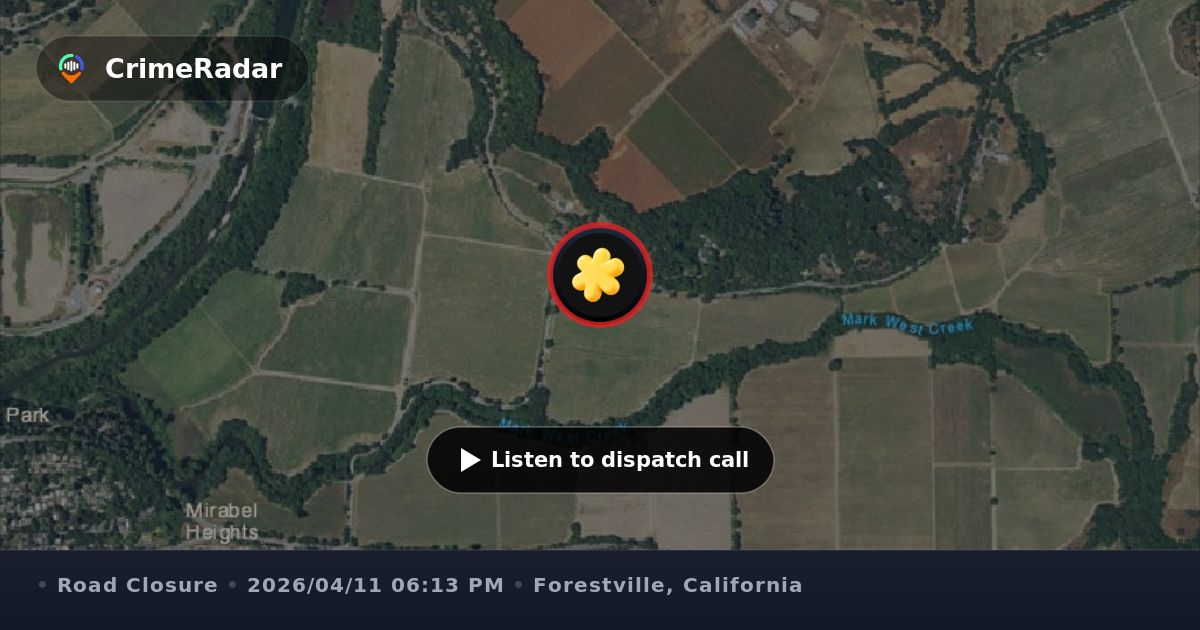 Large tree blocking northbound lanes on Eastside Road, Forestville CA ...