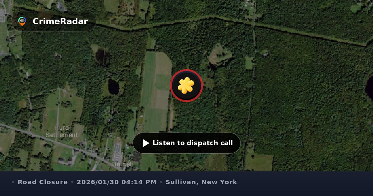 Deer carcass reported near State Route 17B, Sullivan County NY | CrimeRadar