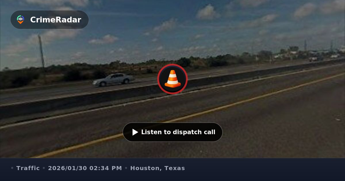 Loose dog causes traffic concern on Gulf Freeway, Houston TX | CrimeRadar