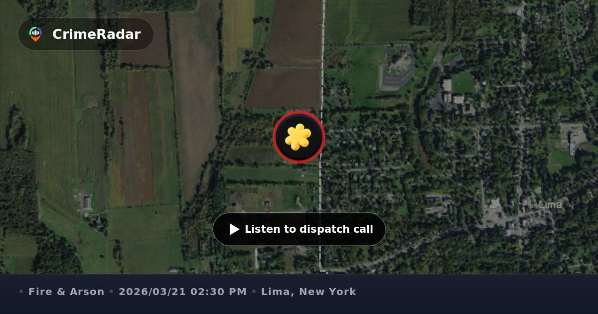 Tree leaning toward power lines after brush fire, Lima NY | CrimeRadar