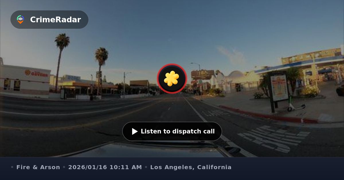 Possible arson suspect detained near Sunset and La Brea, Los Angeles CA ...