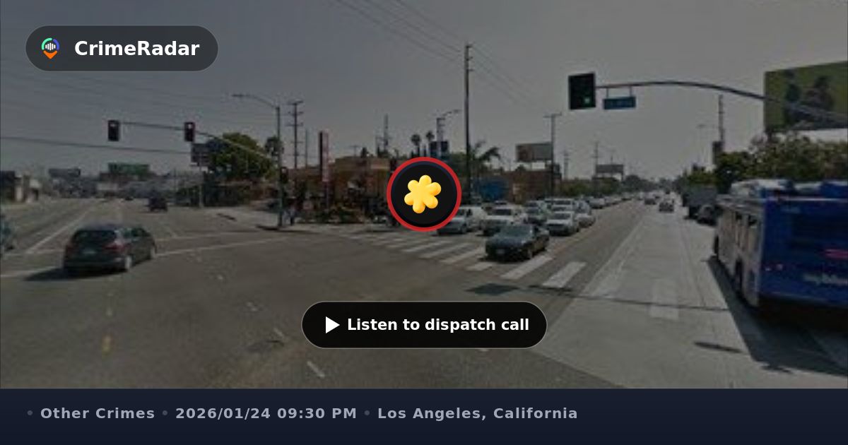 Suspect detained near La Brea and Pico, Los Angeles CA | CrimeRadar