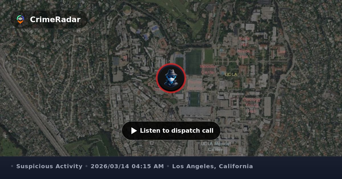 Police stop gray car without license plates, Los Angeles CA | CrimeRadar