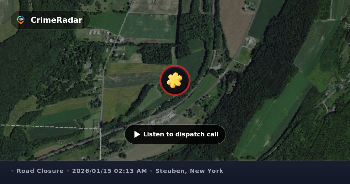 Tree blocks road near Lent Hill and Emo roads, Steuben County NY ...