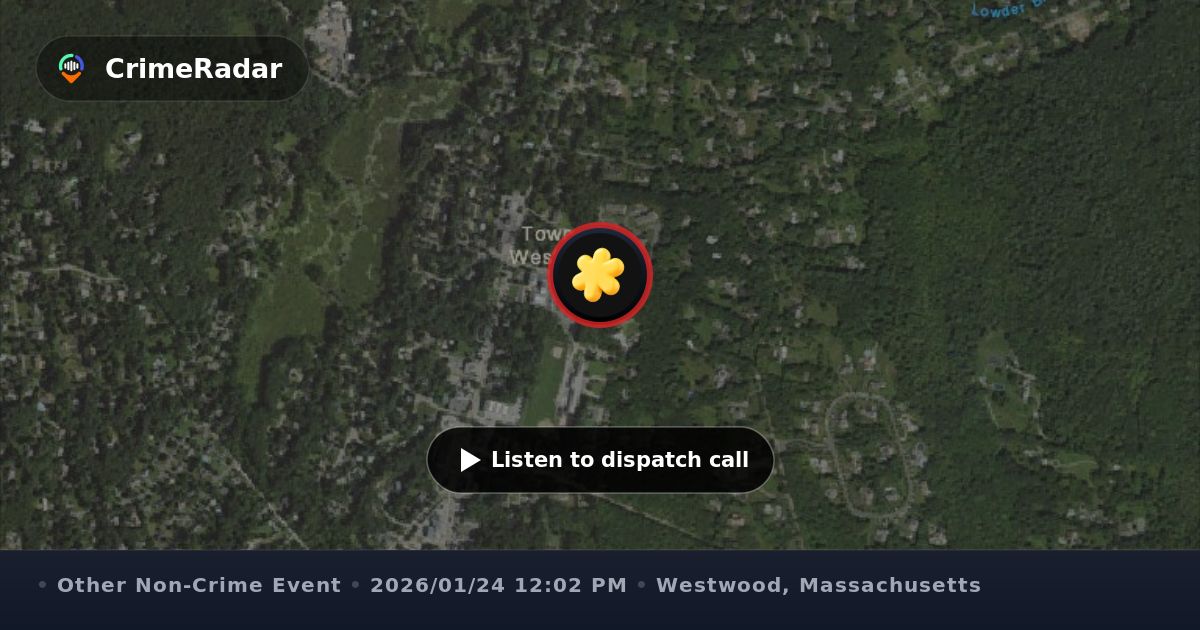 Vehicle locked with keys inside near Westwood Glen Rd, Westwood MA ...