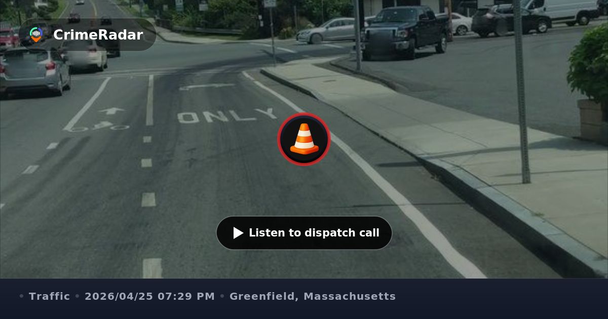 Loose dog running into road near Dunkin' Donuts, Greenfield MA | CrimeRadar