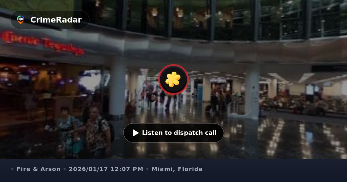 Air crews handle bird strike incident at Miami airport, Miami FL ...