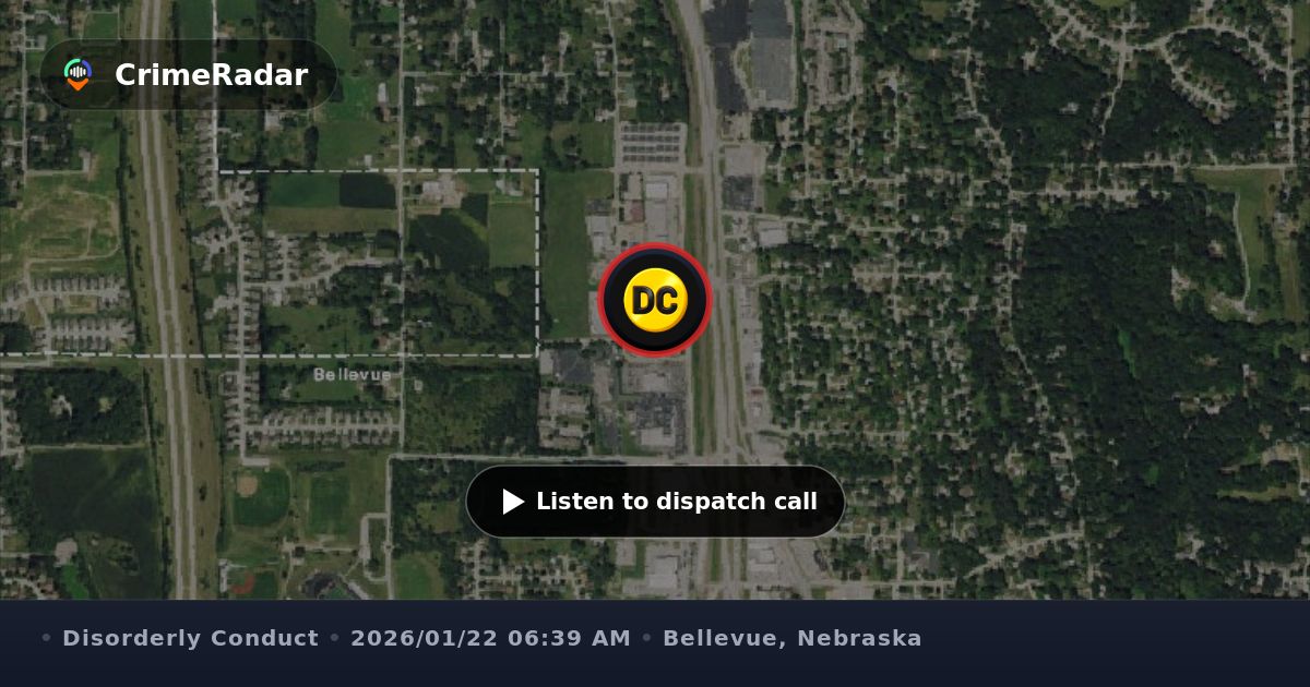 Disturbance reported outside restaurant on Fort Crook Rd, Bellevue NE ...