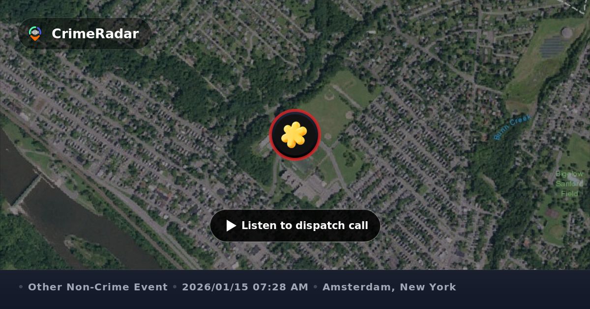 Stray dog brought to station near Academy St, Amsterdam NY | CrimeRadar