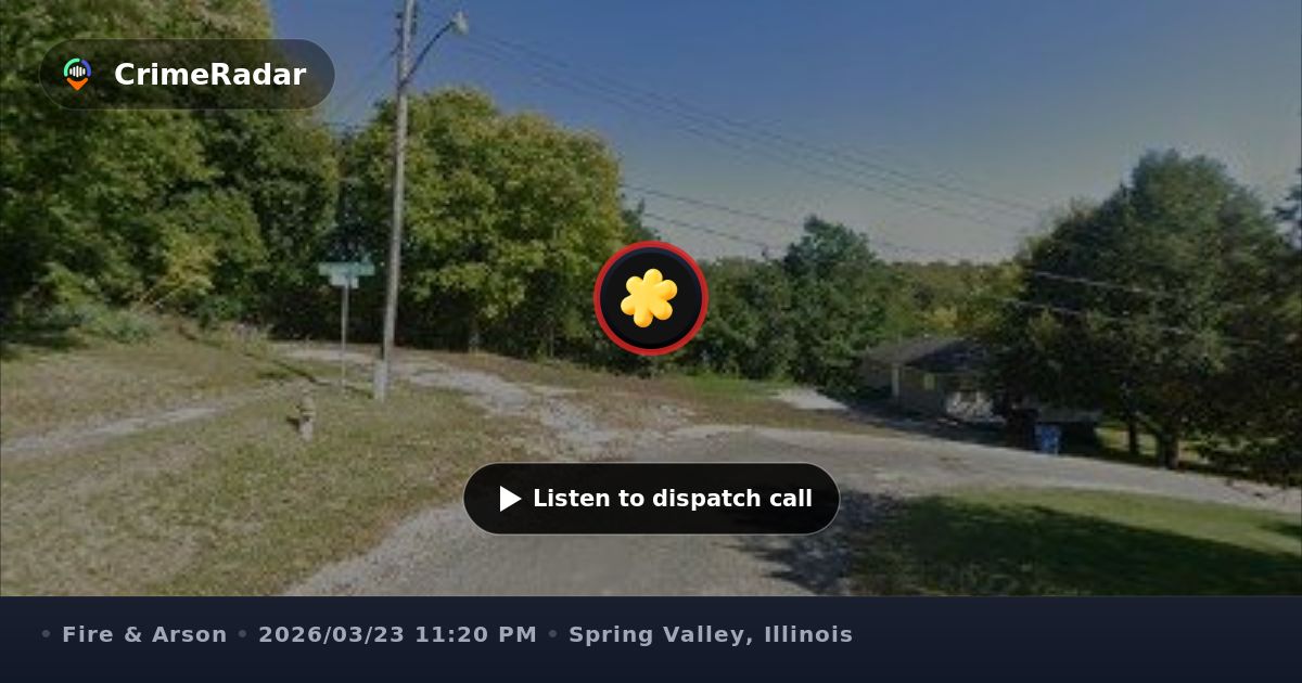 Brush fire reignites on Gallagher and St Paul streets, Spring Valley IL ...