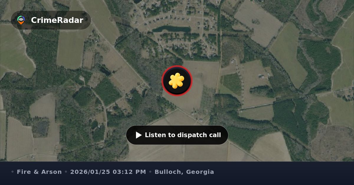 Tree down possibly on power line near Alderman Rd, Bulloch County GA ...