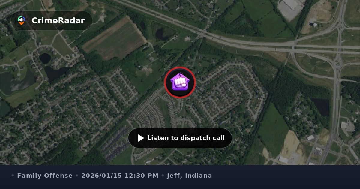 Officers respond to possible domestic issue on Palmetto Dr ...