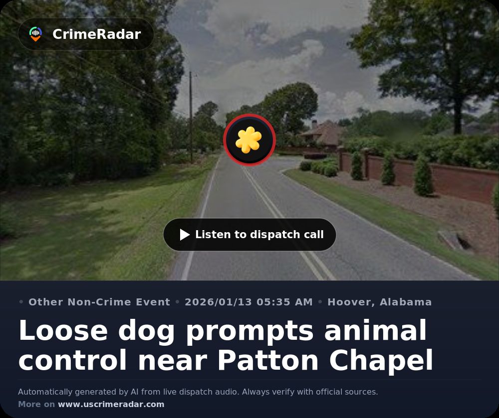 Loose dog prompts animal control near Patton Chapel, Hoover AL | CrimeRadar