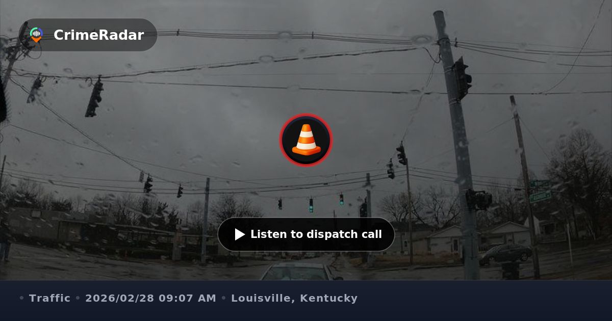 Hit-and-run crash injures woman at Winkler and Rodman, Louisville KY ...