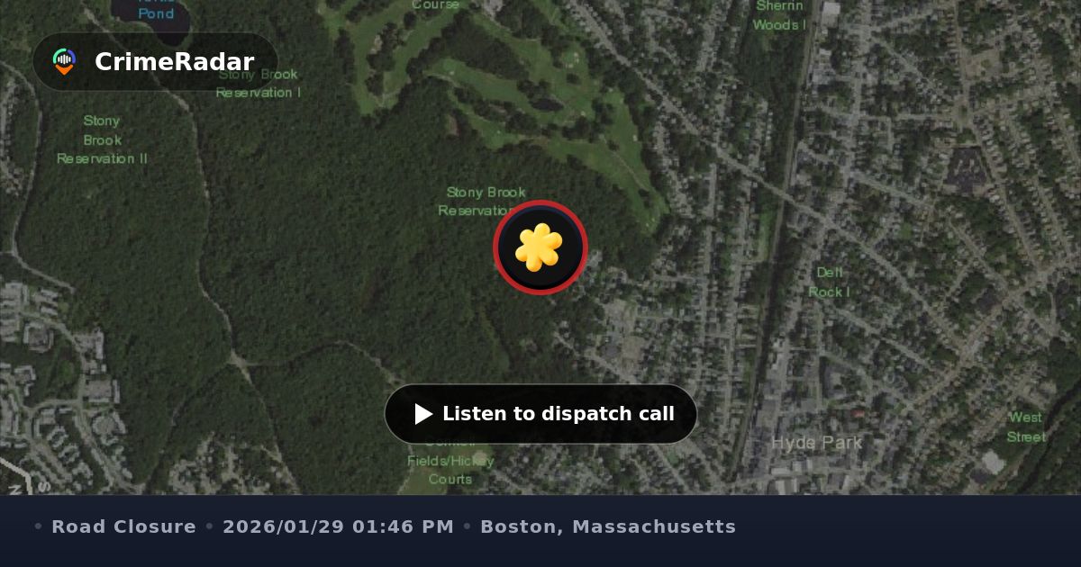 Flooding reported at Gordon Ave and Child St, Boston MA | CrimeRadar