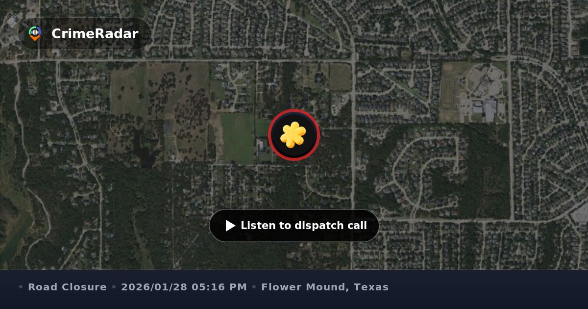 Tree blocking roadway near Simmons and McKamy Creek, Flower Mound TX ...