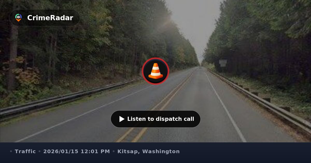 Deputies respond to possible intoxicated pedestrian, Kitsap County WA ...