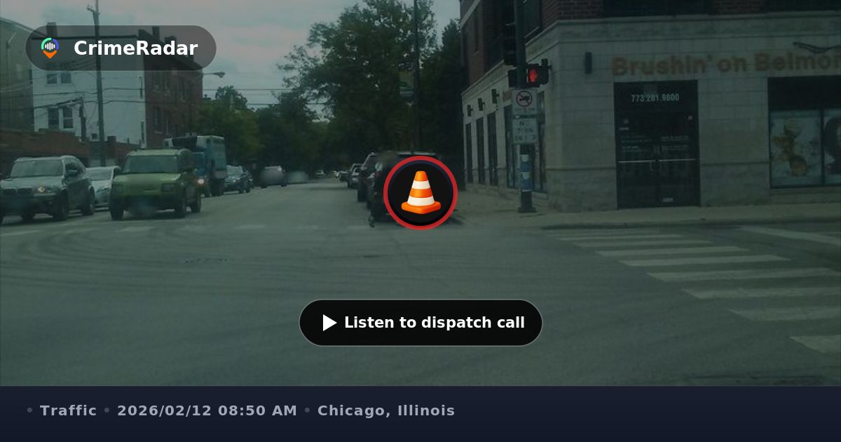Traffic stop at Belmont and Damen intersection, Chicago IL | CrimeRadar