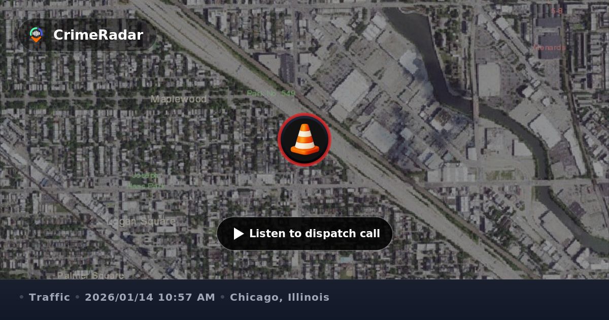 Officers conduct routine traffic stop on Palmer St, Chicago IL | CrimeRadar