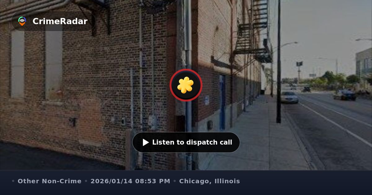 Deputies assist person after shelter eviction near Halsted St, Chicago ...