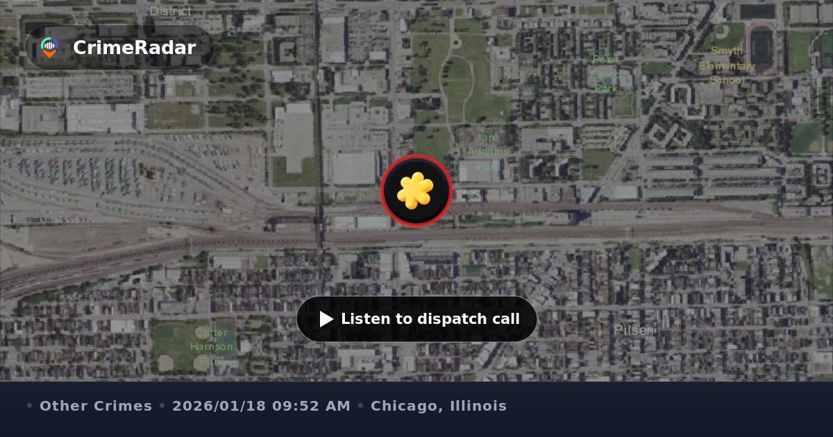 Crowd gathers for pop-up event near Laflin St, Chicago IL | CrimeRadar