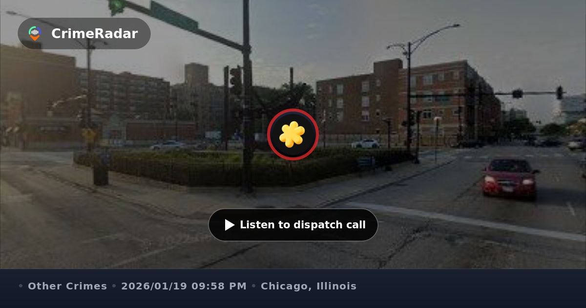 Bus alarm triggers false alert near Madison and Ashland, Chicago IL ...