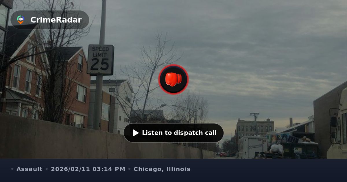 Shoplifter allegedly assaults store employee, Chicago IL | CrimeRadar