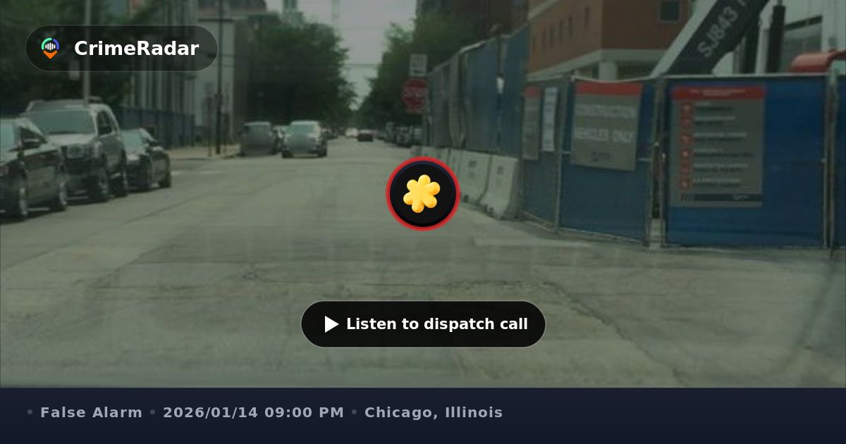 False commercial alarm near Rush St, Chicago IL | CrimeRadar