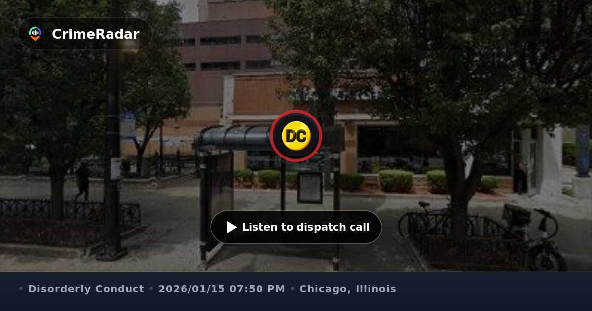 Officers respond to disturbance at restaurant on Chicago Ave, Chicago ...