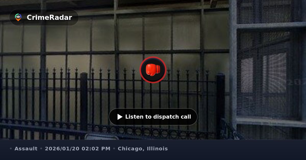 Fight breaks out at Fullerton train station, Chicago IL | CrimeRadar