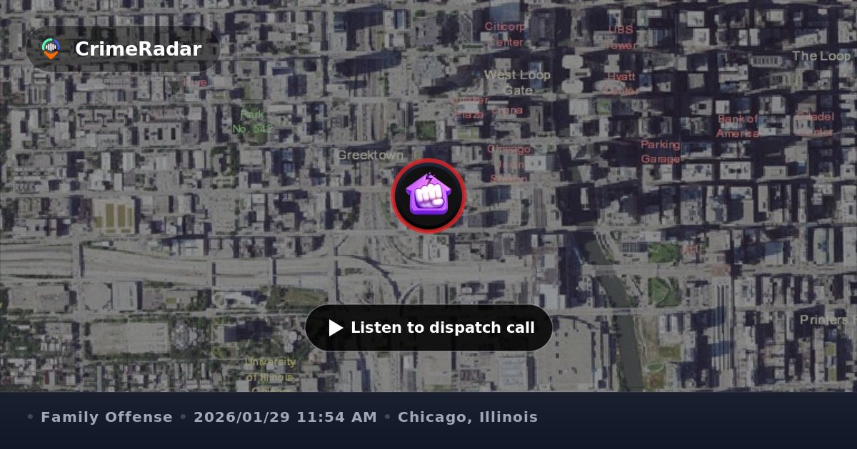 Possible violation of protection order near Van Buren St, Chicago IL ...